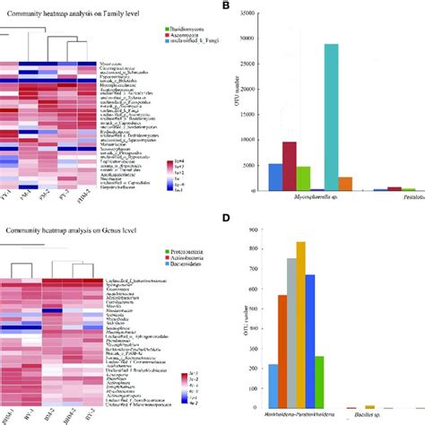 Heatmap Showing The Dominant Fungi And Bacteria At The Genus Level In