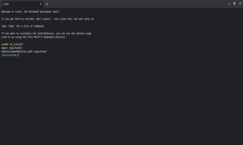 The Top 12 Crosh Commands Every Chromebook Owner Should Know