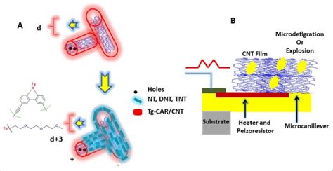 Sensing Of Nitroaromatic Explosive Using Carbon Nanotubes A Using Download Scientific Diagram
