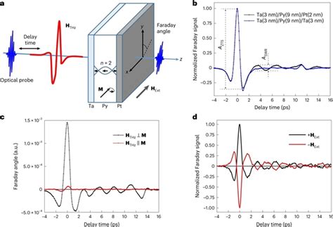 太赫兹光与纳米波长马侬模式通过自旋轨道转矩耦合—小柯机器人—科学网
