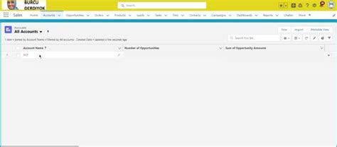 Burcu Derdiyok On Linkedin Salesforce Triggers Rollupsummary Automation Continuouslearning…