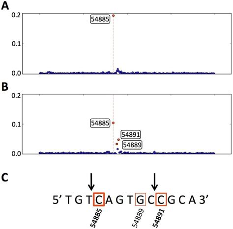 Bacteriophage P1 Presence Of Secondary Termini Scatter Plot Of τ