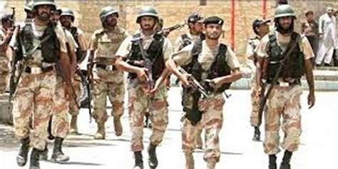 Federal Government Readies For Cumbing Operation In Sindh Newsman