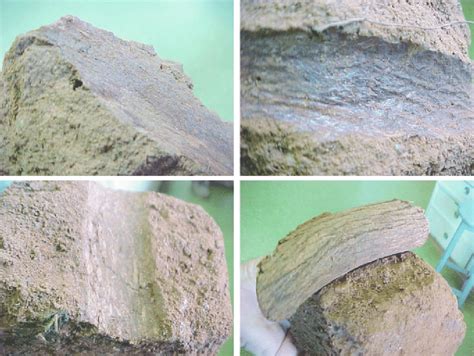 block compaction by different diameter roots shows the slickensides