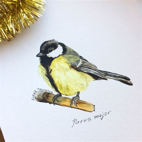 Иллюстрация Синица в стиле академический рисунок графика живопись