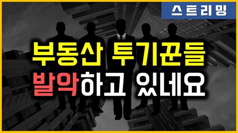 부동산 투기꾼들 발악하고 있네요 Youtube