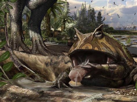 Beelzebufo Late Cretaceous Giant Frog