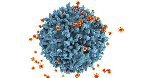 Devon Cayer On Linkedin Novel Hiv 1 Vaccine Candidates Invented At