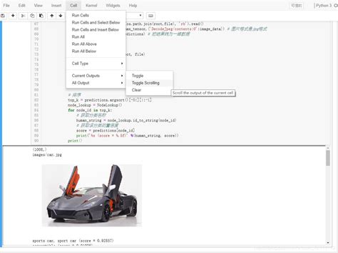 JupyterNotebook 输出窗口的显示效果调整实现 张生荣