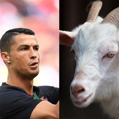 Who Is The Goat Of Football Wer Ist Der Goat Fußball Yukfgo