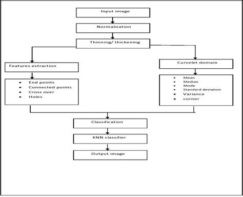 Overall Feature Extraction And Flow Of The Model Download Scientific