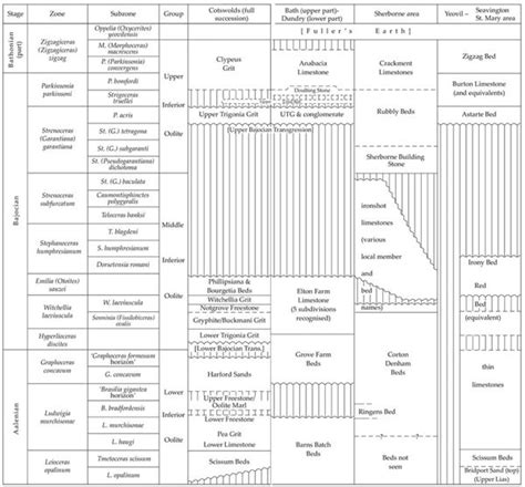 Upper Inferior Oolite Middle Jurassic Bristol And Gloucester Region