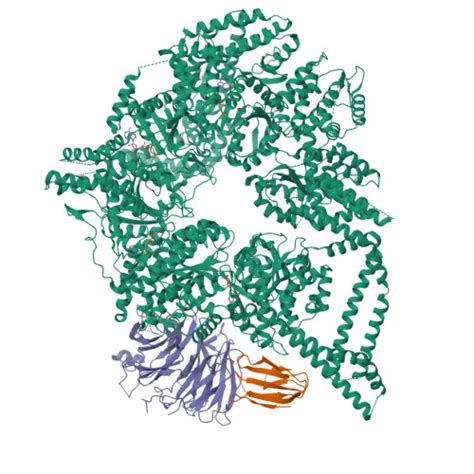 Rcsb Pdb 9dkm Cryoem Structures Of Yeast Cytoplasmic Dynein In The Presence Of Atp And Lis1
