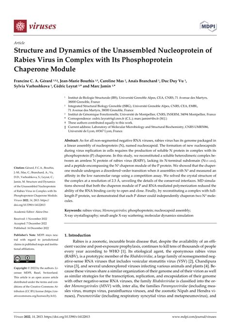 Pdf Structure And Dynamics Of The Unassembled Nucleoprotein Of Rabies Virus In Complex With
