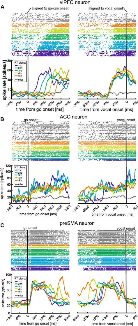 Temporal Correlation Of Three Example Voc Neurons With Call Reaction Time Download Scientific