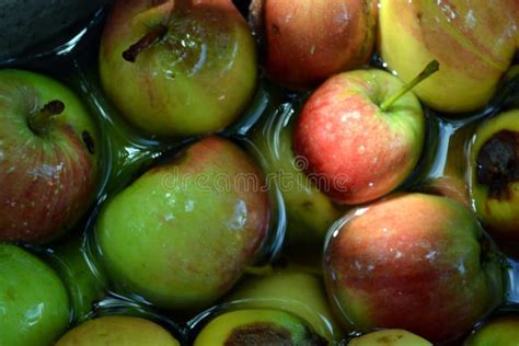 The First Juicy Small Green Apples With Red Yellow Dark Spots Float