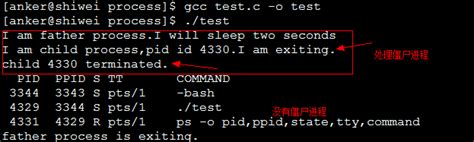 孤儿进程与僵尸进程 总结 Rabbit Dale 博客园