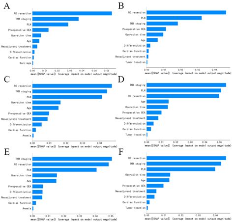 The Importance Ranking Of The Top 10 Features For A Random Survival