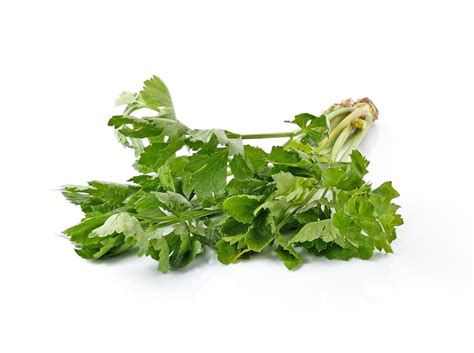 Premium Photo Fresh Green Celery Isolated On White