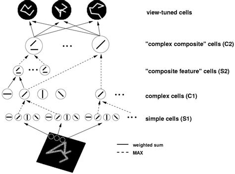 7 Hmax Model Of Object Recognition Proposed By Riesenhuber And Poggio Download Scientific
