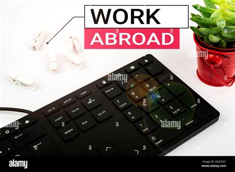 Writing Displaying Text Work Abroad Business Overview Immersed In A Foreign Work Environment