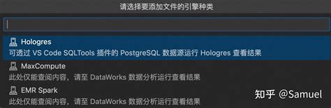Dataworks 公共数据集 Vs Code 插件 知乎