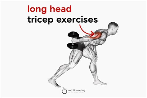 3 Steps To Wider Biceps Training Tips Exercises And Workout Nutritioneering