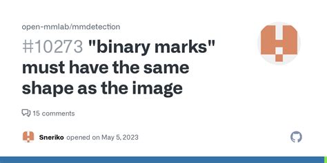 Binary Marks Must Have The Same Shape As The Image · Issue 10273