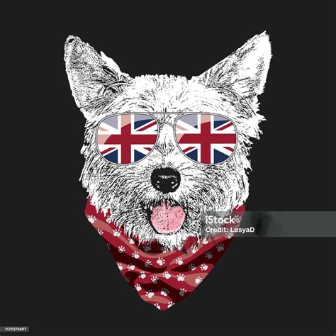 요크셔 테리어 초상화 영국 국기 안경과 두건에 귀여운 멋진 개 벡터 일러스트 레이 션 T 셔츠에 대한 스톡 벡터 아트 및 기타 이미지 T 셔츠 강아지 개 강아지 어린