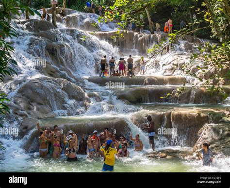 Tourists Bathing And Climbing The Dunns River Falls Ocho Rios Saint