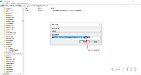 关于java环境配置错误导致burpsuit无法运行解决方法 知乎