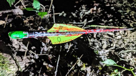 How To Choose The Best Crossbow Bolt Weight TenPoint