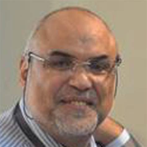 Mohammed Radwan Professor Phd Alexandria University Alexandria