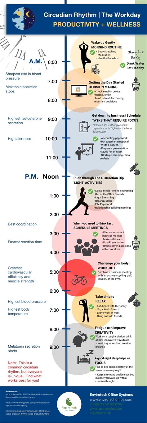 Circadian Rhythm And The Workday Productivity And Wellness Pdf Circadian Rhythm Personal