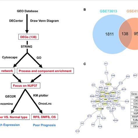 Gene Screening And Identification Of The Hub Gene A Illustrates Download Scientific