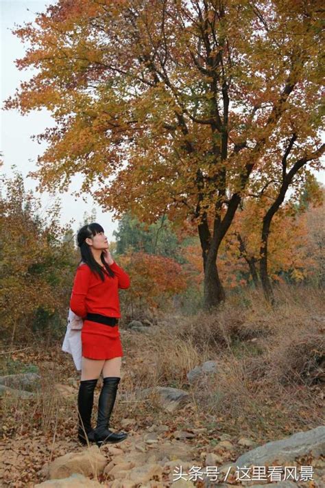 看風景攝影停車坐愛楓林晚霜葉紅於二月花 每日頭條