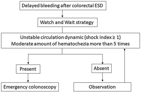 Watch And Wait Strategy For Delayed Bleeding Esd Endoscopic Submucosal Download Scientific