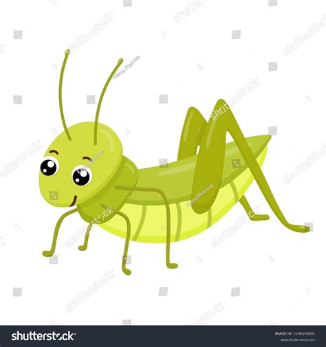 Cute Smiling Grasshopper Isolated On White Stock Vector Royalty Free