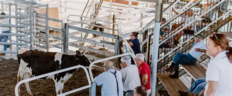 Vendor Resources Donovan Livestock Property