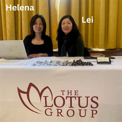 The Lotus Group Llc On Linkedin Icsa Statistics Biostatistics