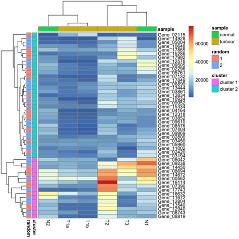 Making A Heatmap In R With The Pheatmap Package Dave Tang S Blog