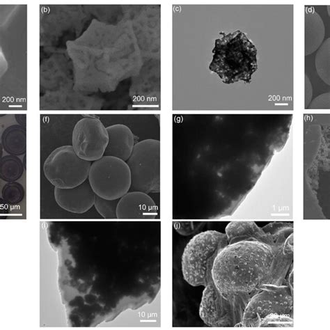 Sem Photographs Of A Zif 67 And B Dodecahedral Co3o4 Nanocage C Download Scientific