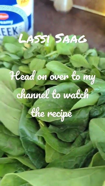 Lassi Saag Pakistani Desifoodrecipes Food Lassiwalasaag Youtube