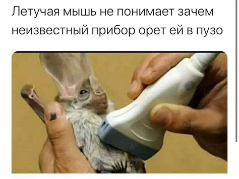 По улицам комод возили выпуск №1253982