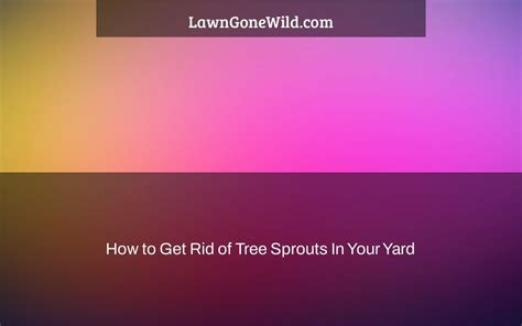 How To Get Rid Of Tree Sprouts In Your Yard Lawn Gone Wild