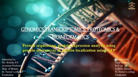 Protein Sequencing Protein Expression Analysis Using Protein Microarray Protein Localization
