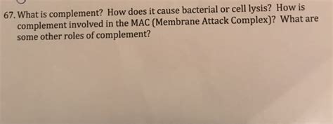 Solved What Is Complement How Does It Cause Bacterial Or