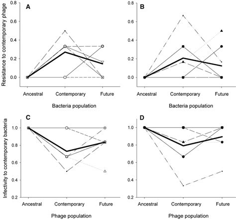 Coevolutionary Dynamics Of Bacteria And Phages Proportion Of P Download Scientific Diagram