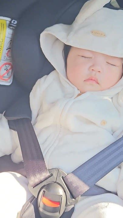 카시트에 앉아 잘 자는 239일 채리 Youtube