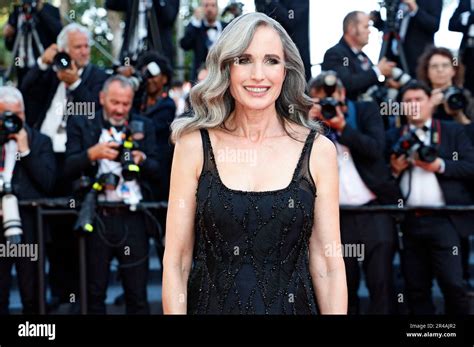 Andie Macdowell Bei Der Premiere Des Kinofilms The Old Oak Auf Dem